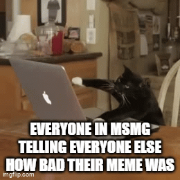 Typing kitty - Imgflip