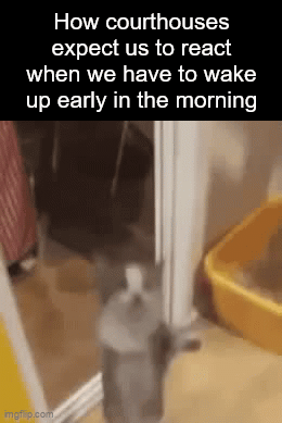 "yAy I LovE gEtTInG UP EarLy" - Imgflip