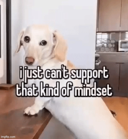 I just can’t support that kind of mindset - Imgflip