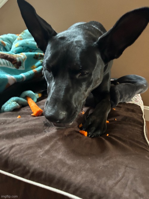 Bro said “y” - Imgflip