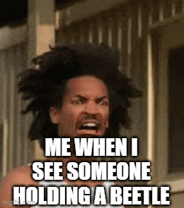 So true for all the bug haters out there - Imgflip