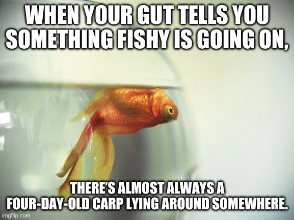 Dead Fish - Imgflip
