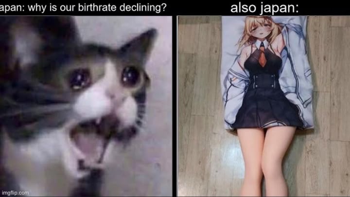 Image tagged in why are you reading the tags - Imgflip