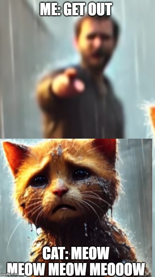 Meow Meow Meow Meow Meow Meow Meow Meow Meow - Imgflip