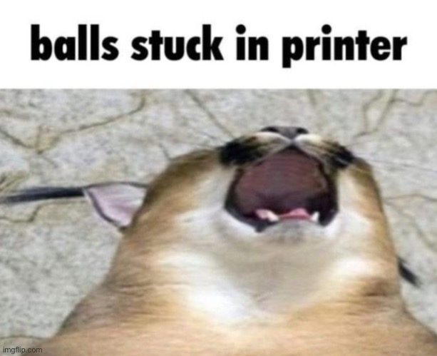 Please help it hurts - Imgflip