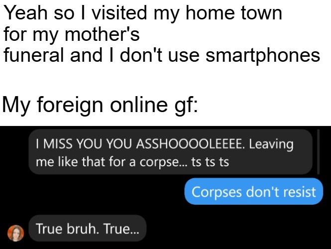 (edited) I had sent her a mail ending with "Yours sincerely, son-of-a-corpse Poul" - Imgflip