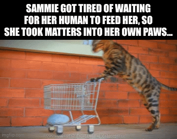 She’s also a picky eater… - Imgflip