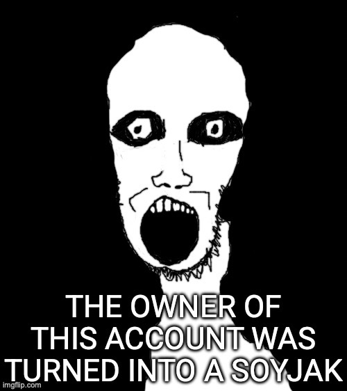 THE OWNER OF THIS ACCOUNT WAS TURNED INTO A SOYJAK - Imgflip