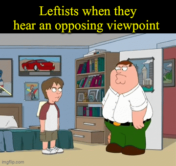 No opposing views allowed - Imgflip