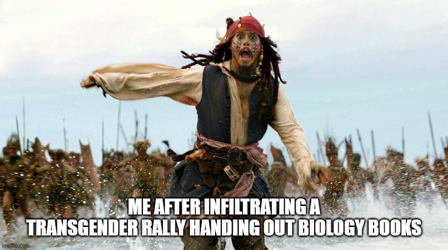 Captain Jack Sparrow - Imgflip