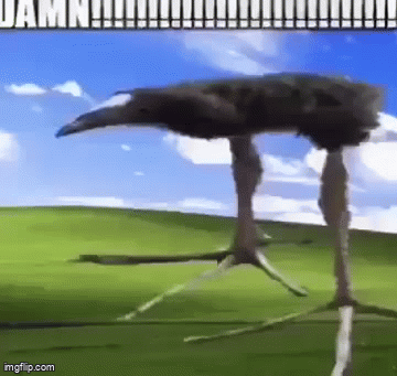 (bravo 25 saying "DAMNNN!!!!!!!!!!!!!!!!!!!") - Imgflip
