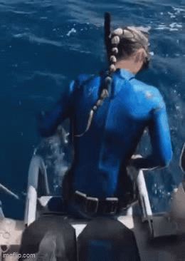 Mr Shark Says 'Come On In ... The Water's Lovely' - Imgflip