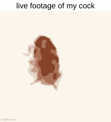 live footage of my cock - Imgflip