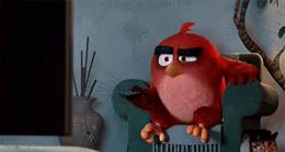 ANGRY BIRDS GIF 2019 - Imgflip