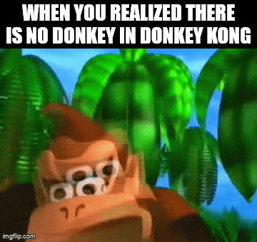 Where is the donkey? - Imgflip