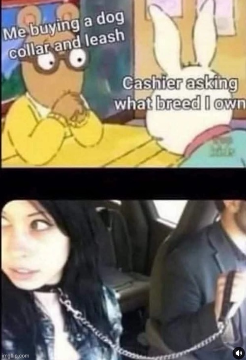 Collar and leash - Imgflip