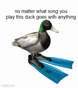 duck - Imgflip
