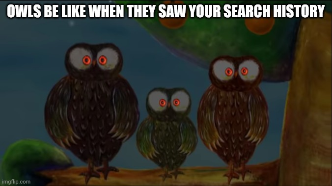 Staring Owls - Imgflip
