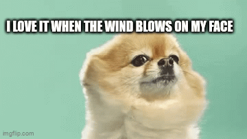 Wind - Imgflip