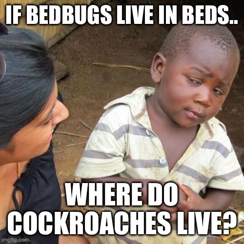 Where do they live? - Imgflip