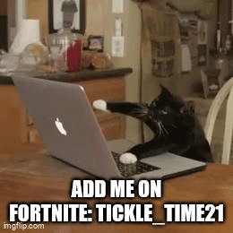 Typing kitty - Imgflip