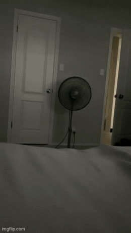Cat appear - Imgflip