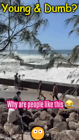 Just having fun? Or.... - Imgflip