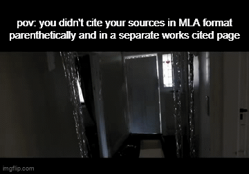 And Times New Roman 12-point - Imgflip