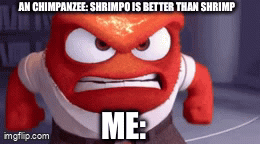 I'M TAKING OFFENSE TO THAT SHE IS NOT BETTER THAN ME AT ALL SHE IS JUST ...