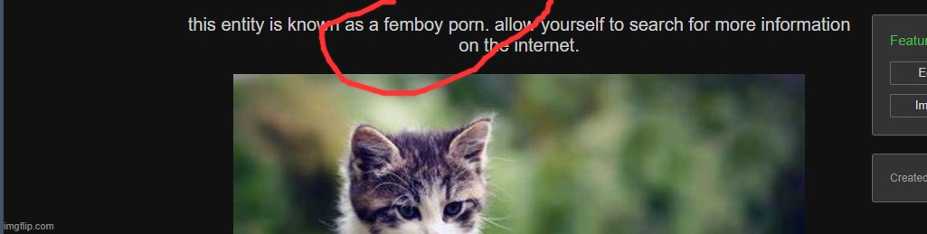 this is an instance of MOD ABUSE. it is an occurance where an entity ...