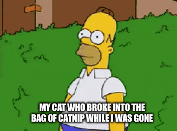 He’s gone - Imgflip