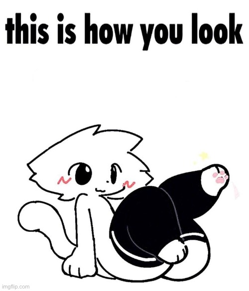 this is how you look saying ":3" - Imgflip