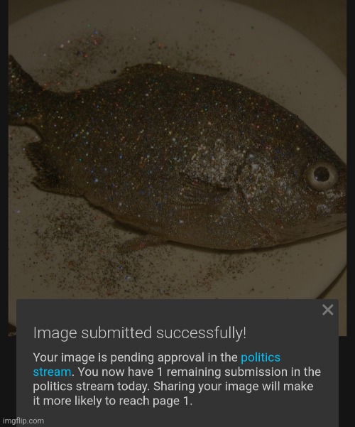 Le fish au glitter - Imgflip