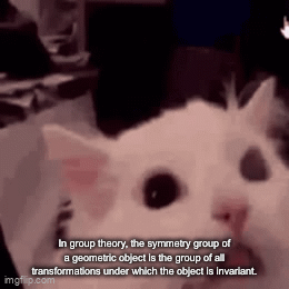 From Nicky Case's Stanford talk - Imgflip