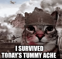 I survived - Imgflip
