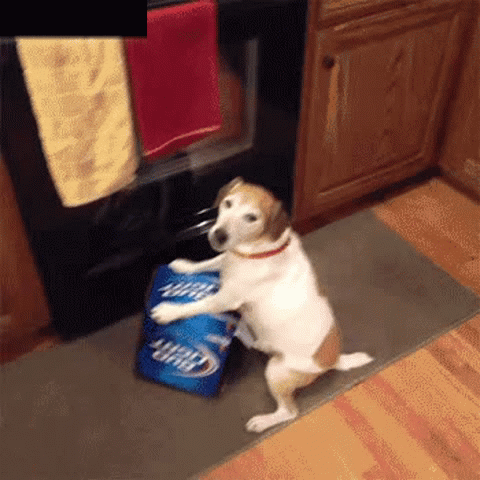 Beer All Mahn - Imgflip