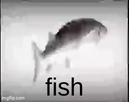 fish - Imgflip