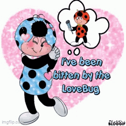 Cococinel Babicinel Cocomiel Babimiel I've been bitten by the love bug ...