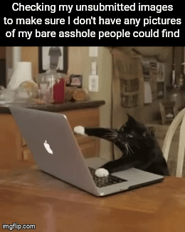 Typing kitty - Imgflip