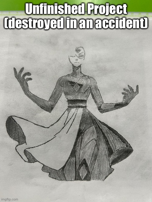 Chat, if I were to had finished this, would you say that I cooked ...