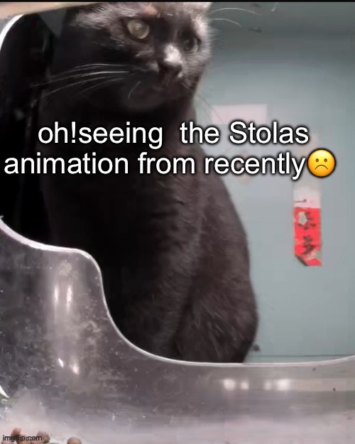 Did someone actually ts