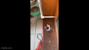 PIPE ATTACK! - Imgflip