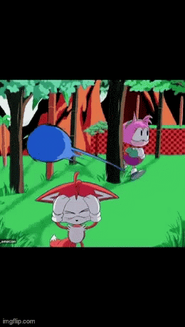 Rewrite Sonic perfect loop bc amy can teleport - Imgflip