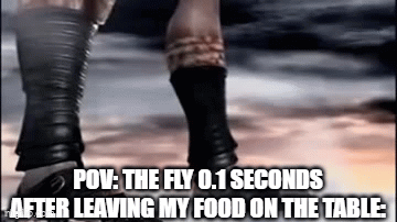The fly deciding to dive into my food knowing darn well it will die ...
