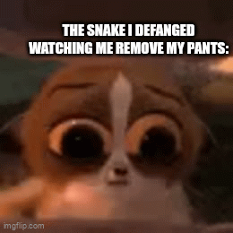 Mort scared gid gif - Imgflip