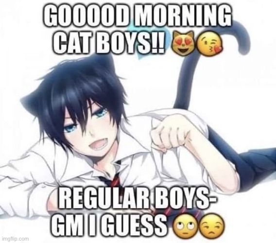 Gm everyone :3 - Imgflip