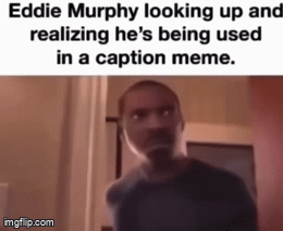 Eddie Murphy looking up and realizing there’s a title above the meme ...