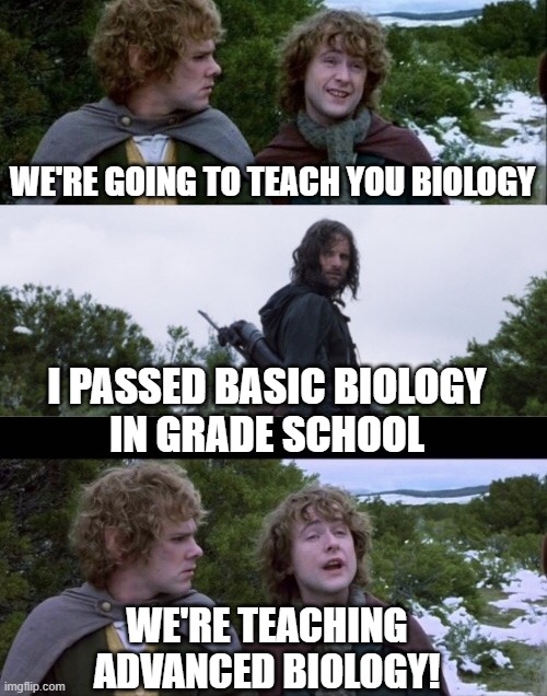 Pippin Second Breakfast - Imgflip