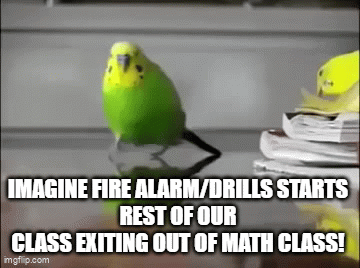 bird running from explosion - Imgflip