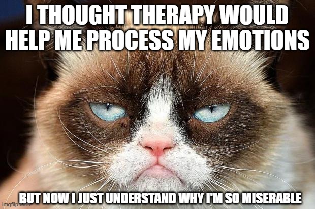 Grumpy Cat Not Amused Meme - Imgflip